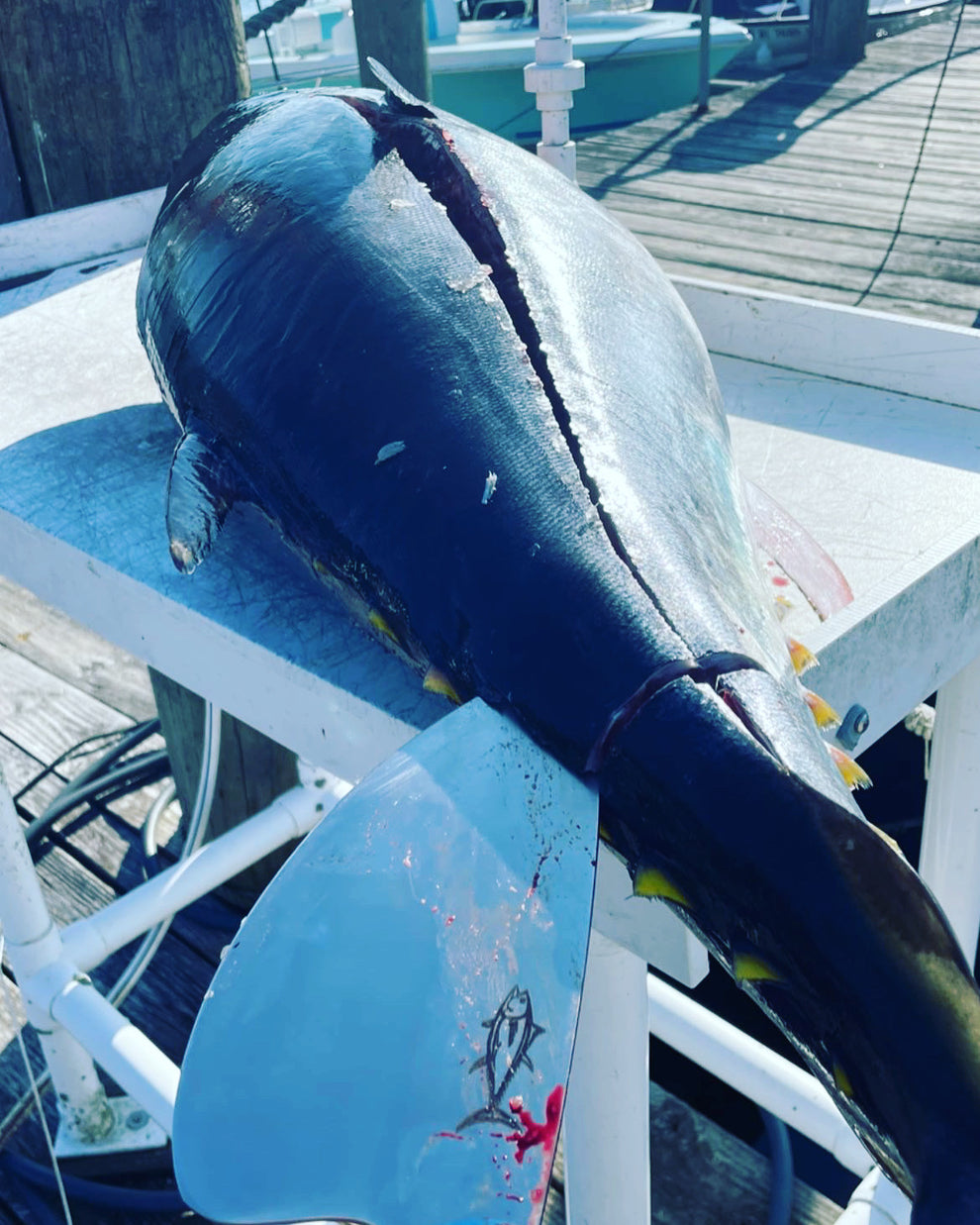 8” Tuna Cleaver – Greg Cimms